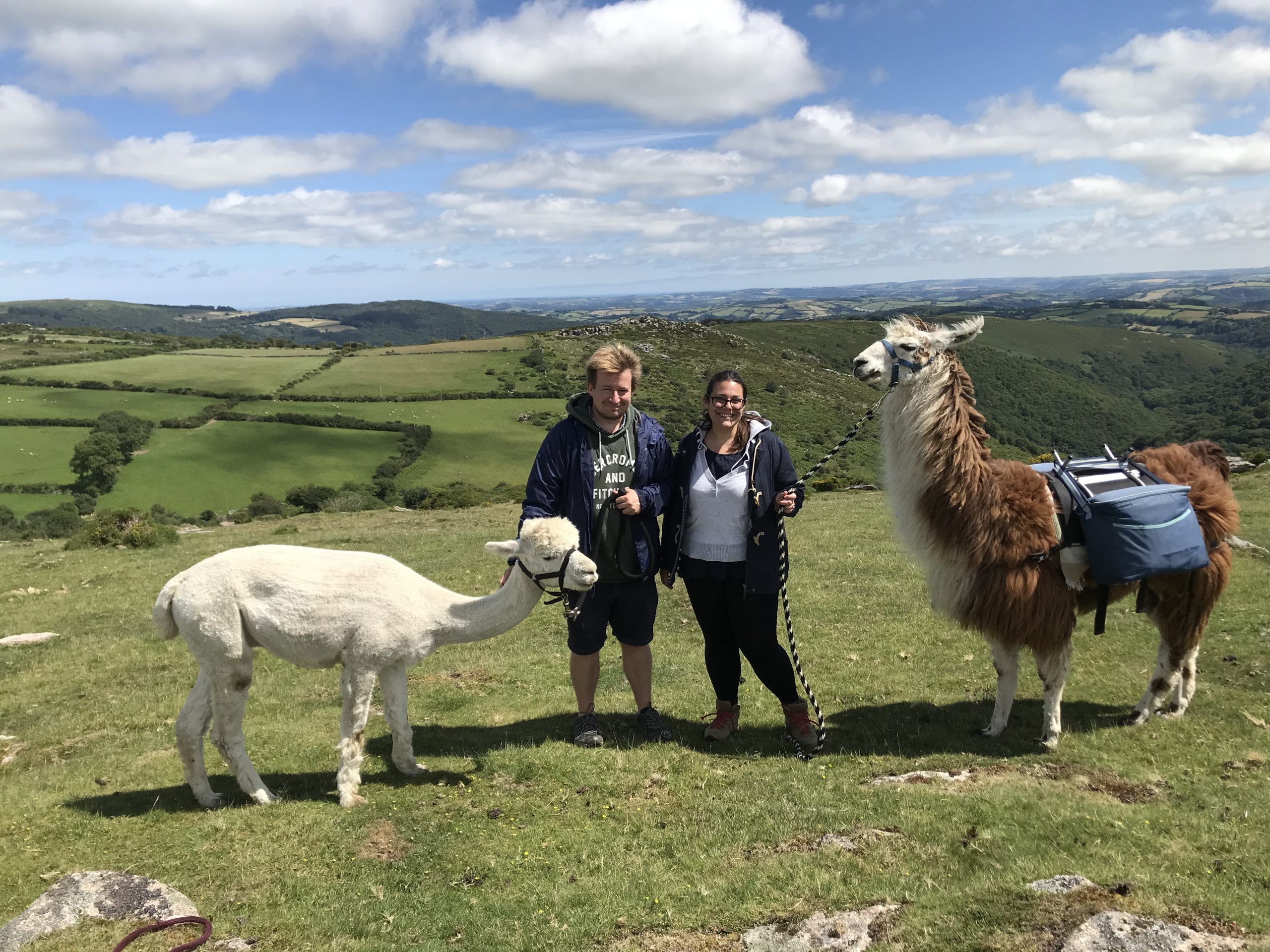 Llama Walks on Dartmoor in Devon | Alpaca & Llama Trekking Devon
